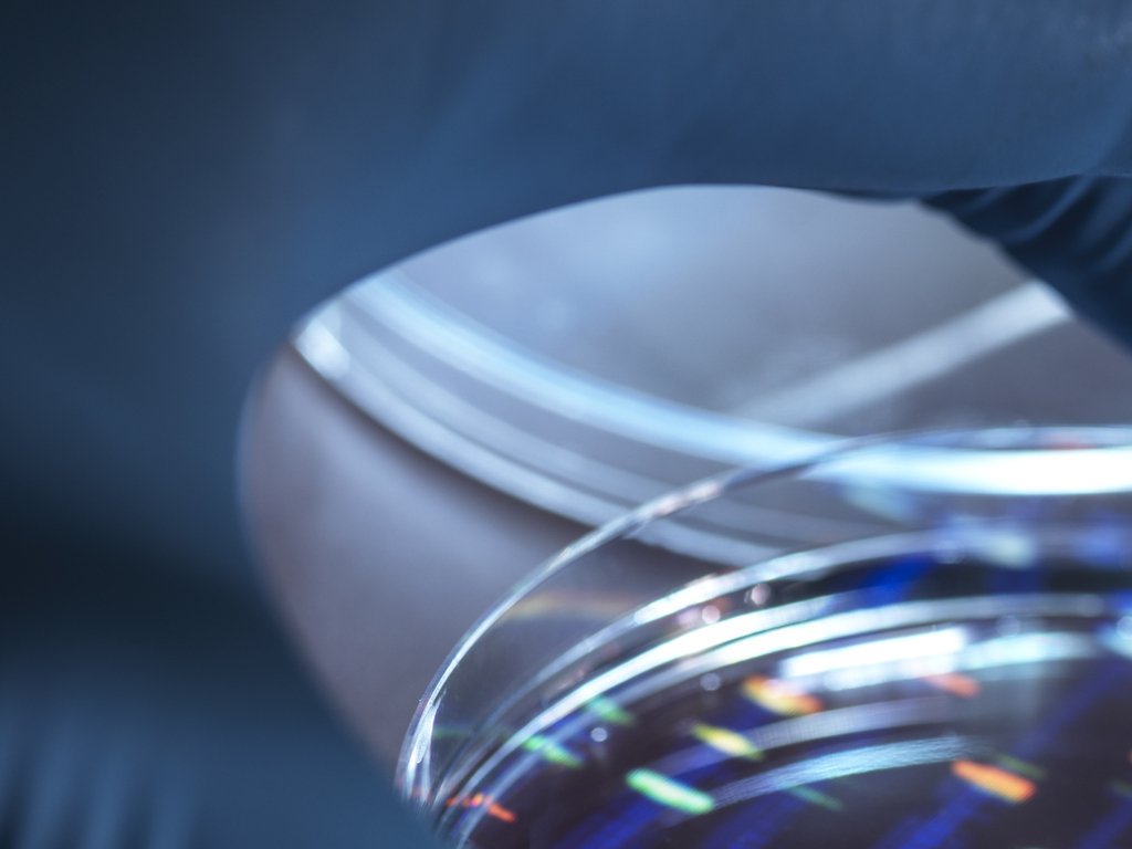 Story Of Dad Who Did DNA Test 'For Fun' Only To Discover Heartbreaking ...