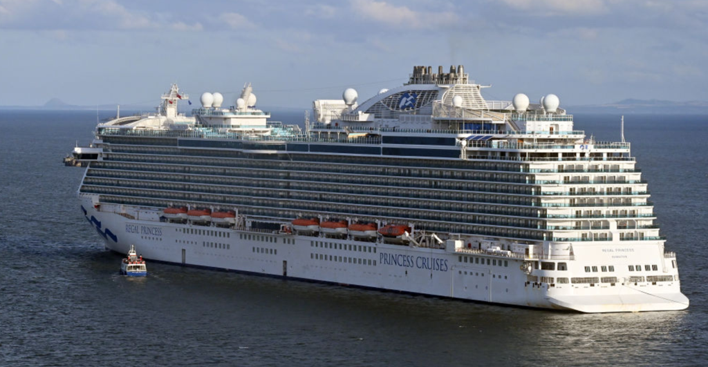 Princess Cruises passenger dies after 'attempting to jump overboard'