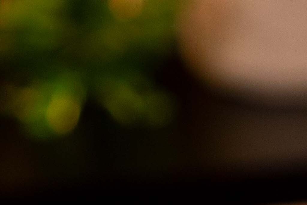 Korean Citrus Braised Pulled Pork