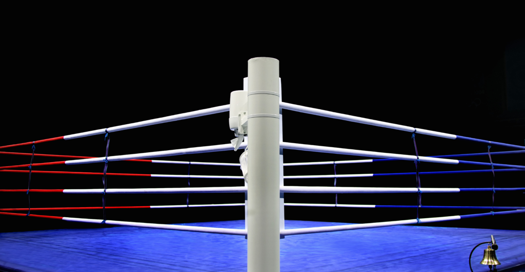 Professional Boxer Dies After Collapsing In Front Of Horrified Crowd ...